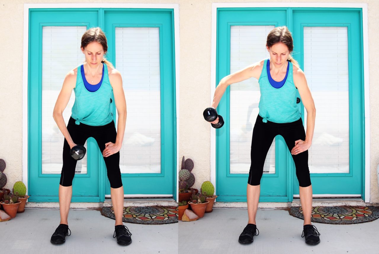 Posterior Deltoids | Synergy Wellness - Fitness and Health Training